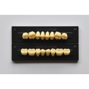 1 x 8 Kaitong - Upper Posterior - Mould 32, Shade B3 - Teeth - Catalogue