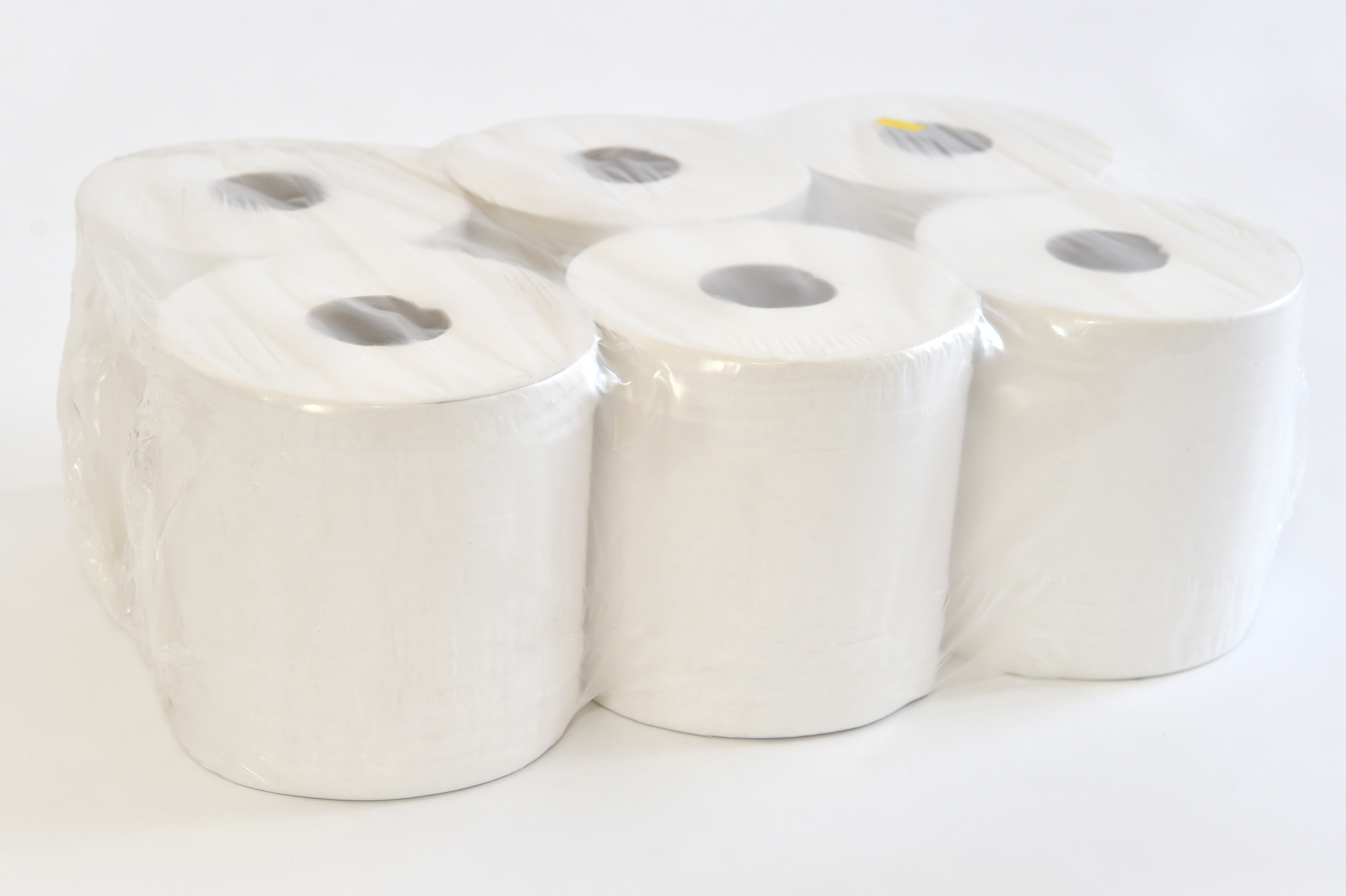Standard Roll Paper Towel - Pack of 6
