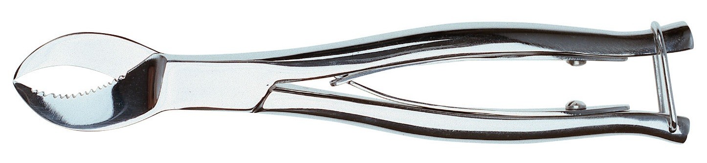 Stainless Steel Plaster Nippers - Hand tools - Catalogue