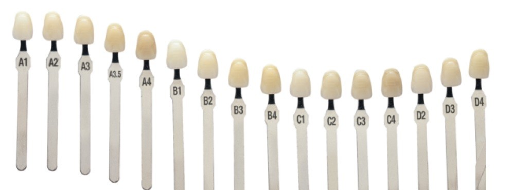 Blueline Shade Guide - Shade Guides - Teeth - Catalogue