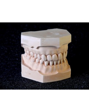 Plaster and Diestones - Catalogue